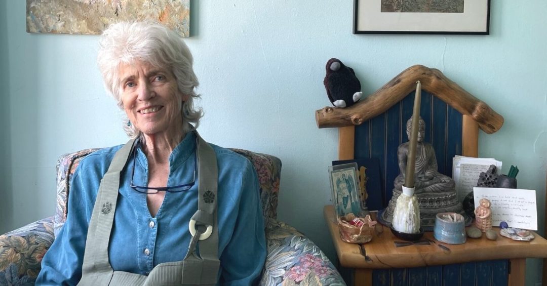 Alive Until You’re Dead – A New Book by Susan Moon | Sangha News Journal