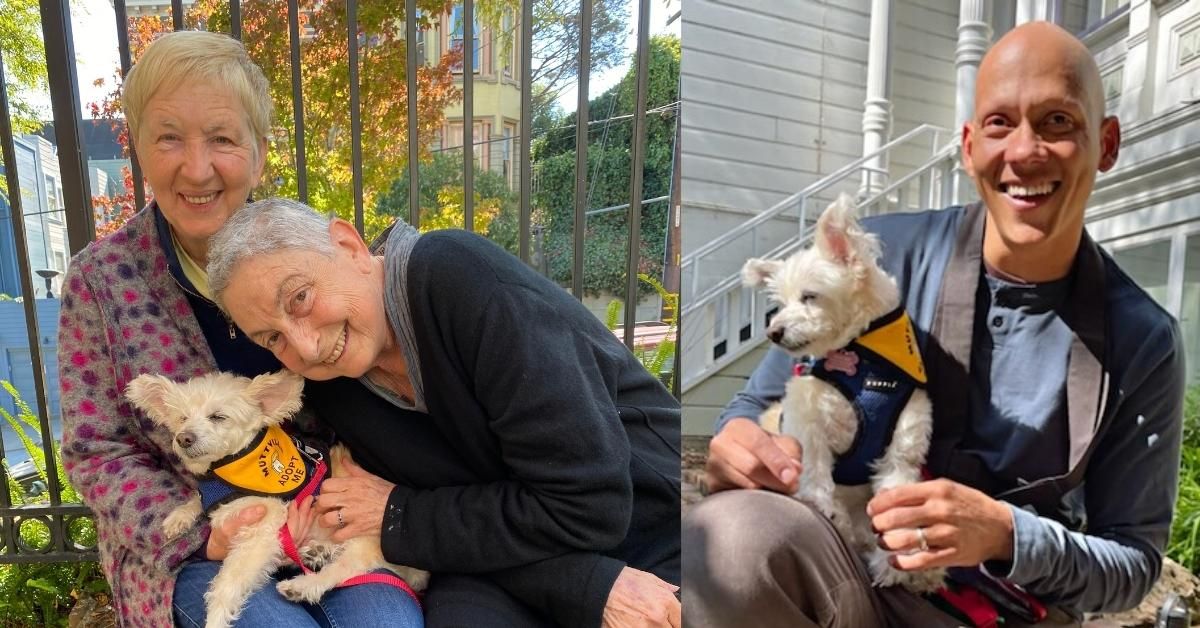 Sangha News Journal | San Francisco Zen Center News and Blogs